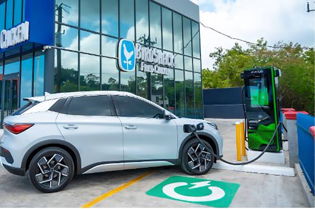 Interenergy champions renewables as EV sales charge up - Jamaica Observer