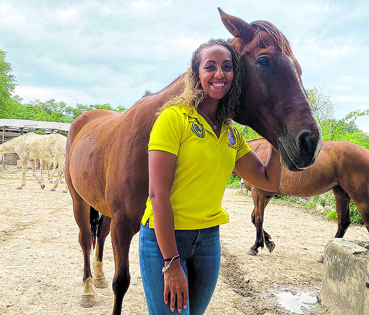 NO HORSING AROUND! - Jamaica Observer