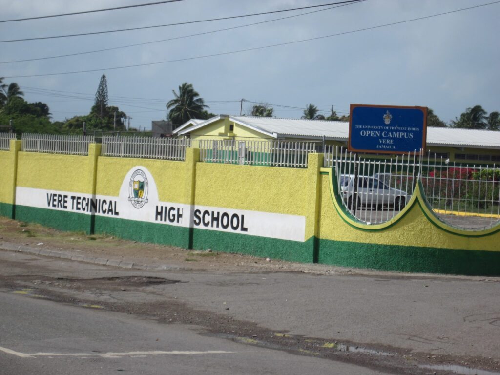 Education minister condemns attack on Vere Tech teacher - Jamaica Observer