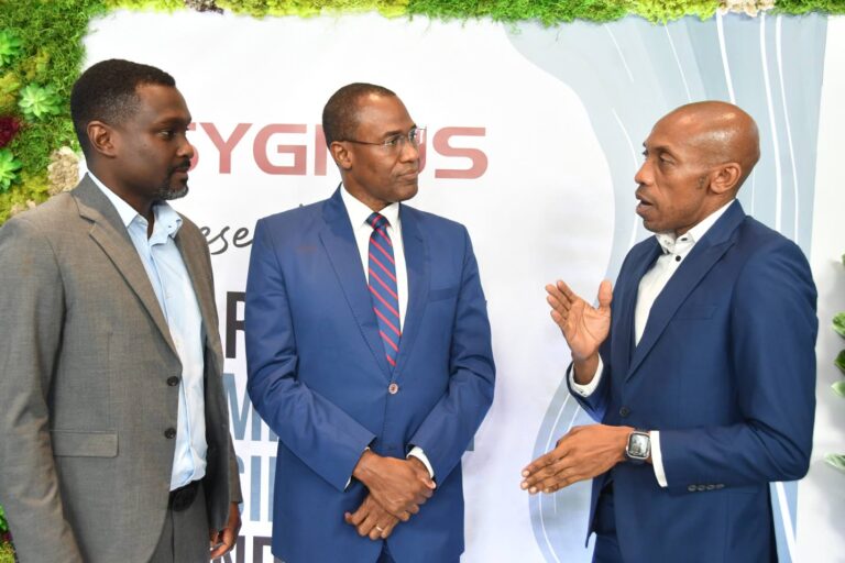 Sygnus Group leads Jamaican-leg launch of ‘resilient’ fund - Jamaica ...