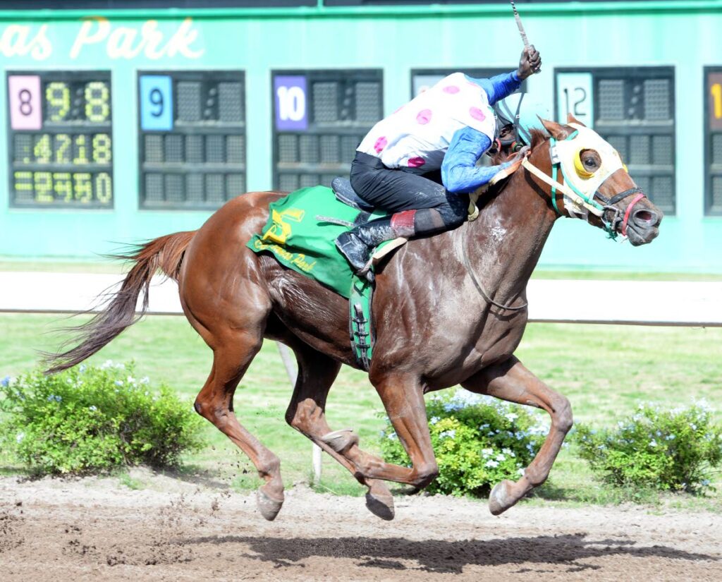 Triple glory for Shane Ellis at Woodbine - Jamaica Observer