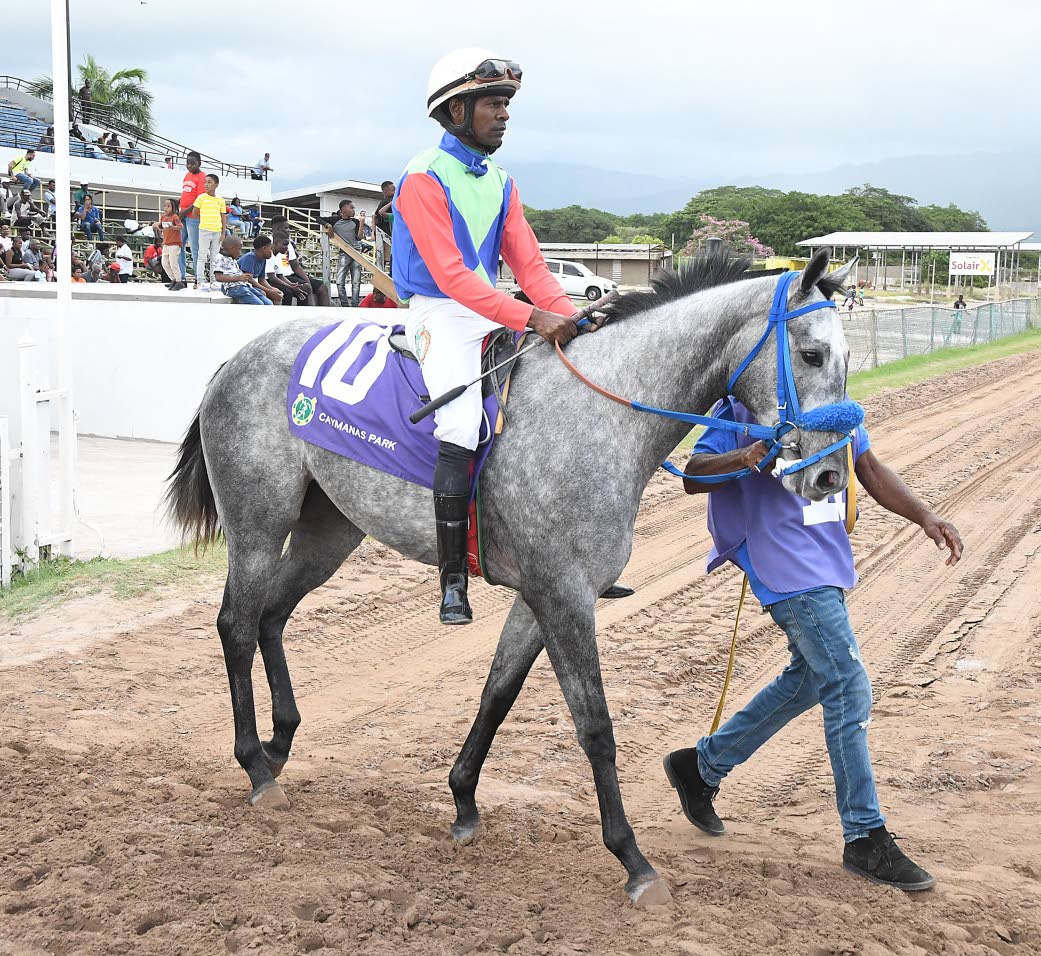 25 horses provisionally entered in 2024 Jamaica 1000 Guineas - Jamaica ...