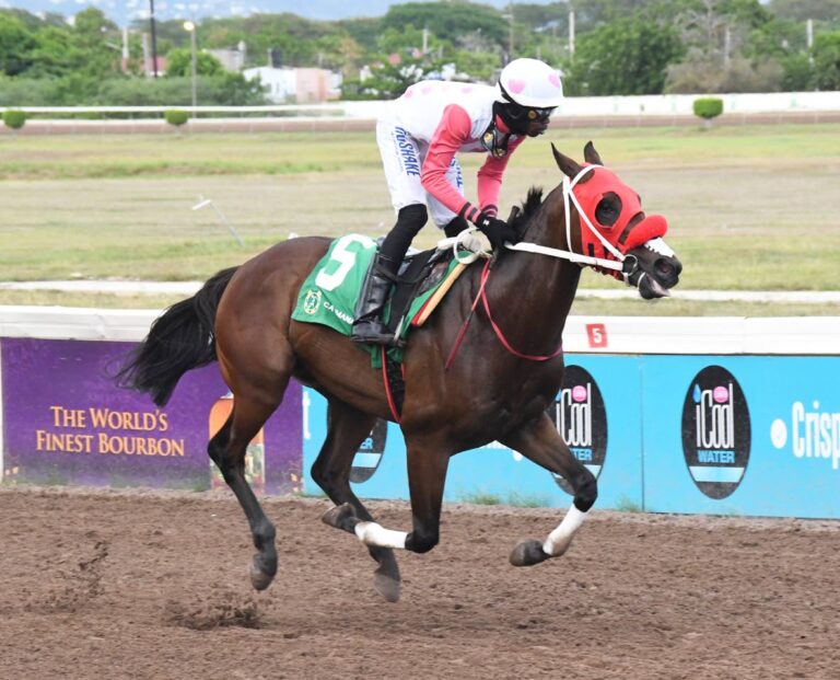 SVREL boss Sharpe expecting Triple Crown series at Caymanas Park ...