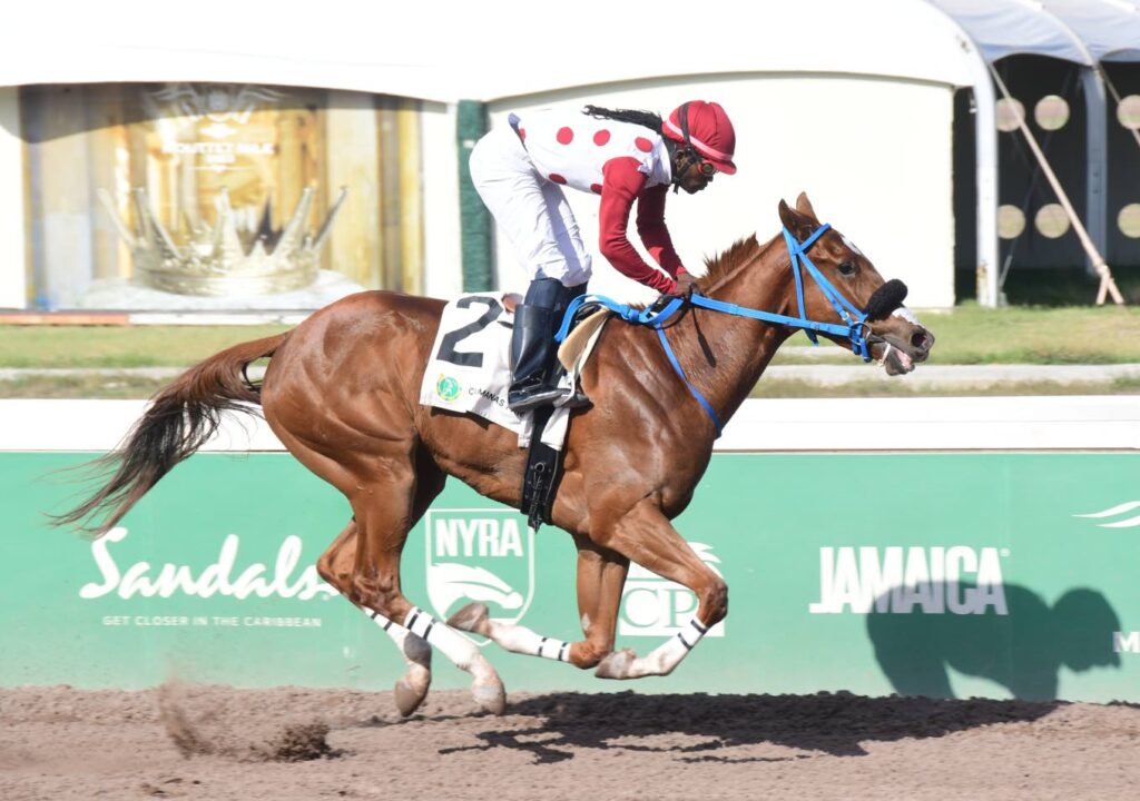 Easy does it for California Crown - Jamaica Observer