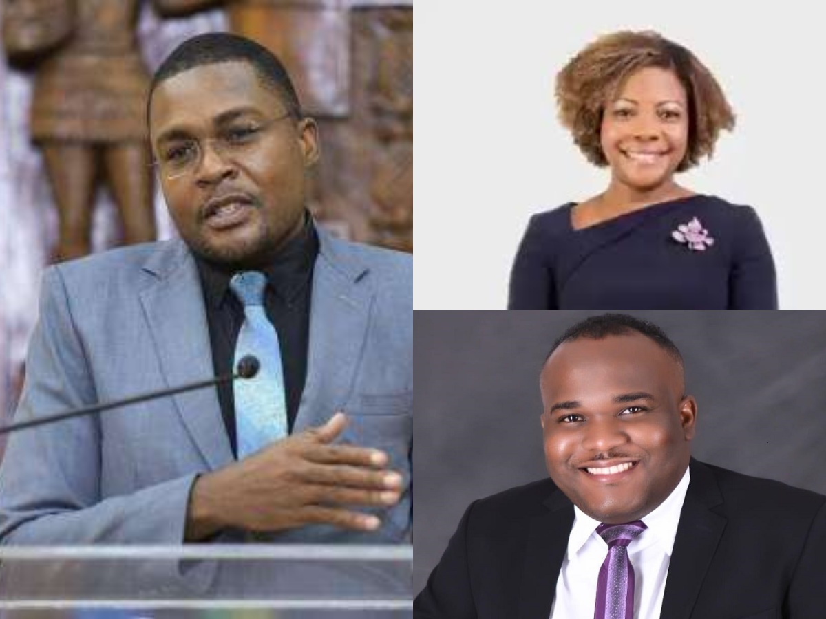 Fitz-Henley appointed Parliamentary Secretary, Morgan now Works Minister as PM announces changes ...