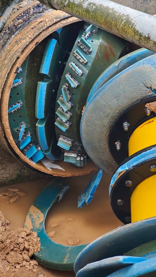 Western - Jamaica Observer