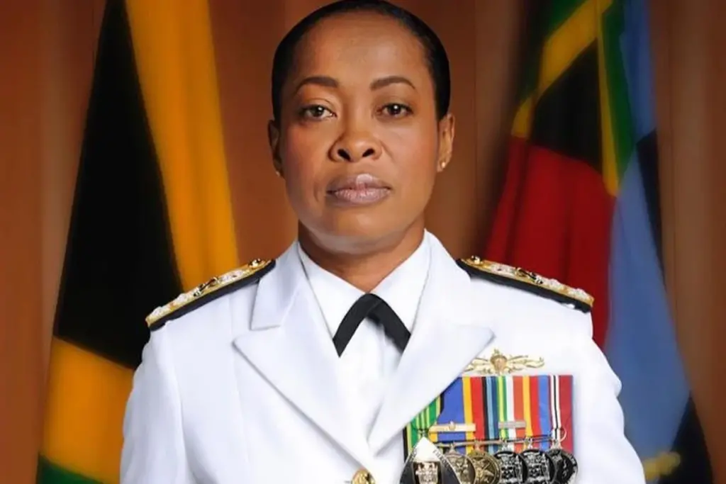 Defence Board promotes chief of defence staff, other senior officers ...