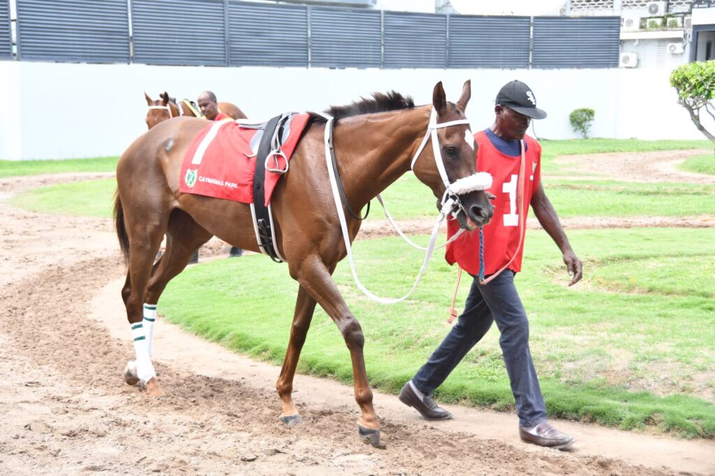 Power From Above confirms long-distance status with Marlowe trophy win ...