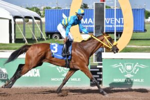 Good vibrations for Rhythm Buzz in Mark My Word Trophy - Jamaica Observer