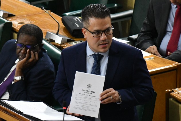 Gov’t continues to support national recycling efforts - Jamaica Observer