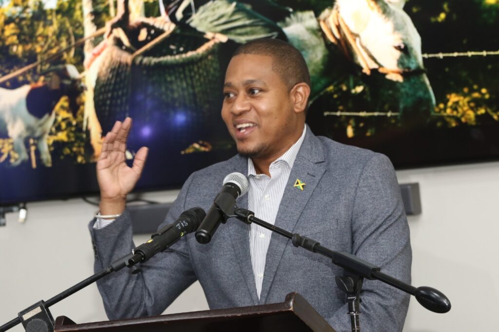 Andrew Swaby is the new Mayor of Kingston - Jamaica Observer