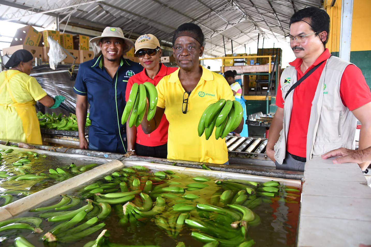 Interactive farm tour with agri-leaders empowers students - Jamaica Observer