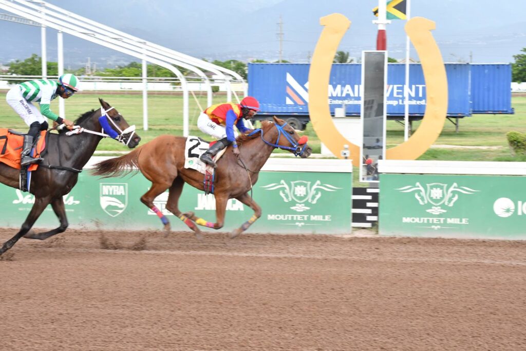 Race day review – Saturday, June 22, 2024 - Jamaica Observer