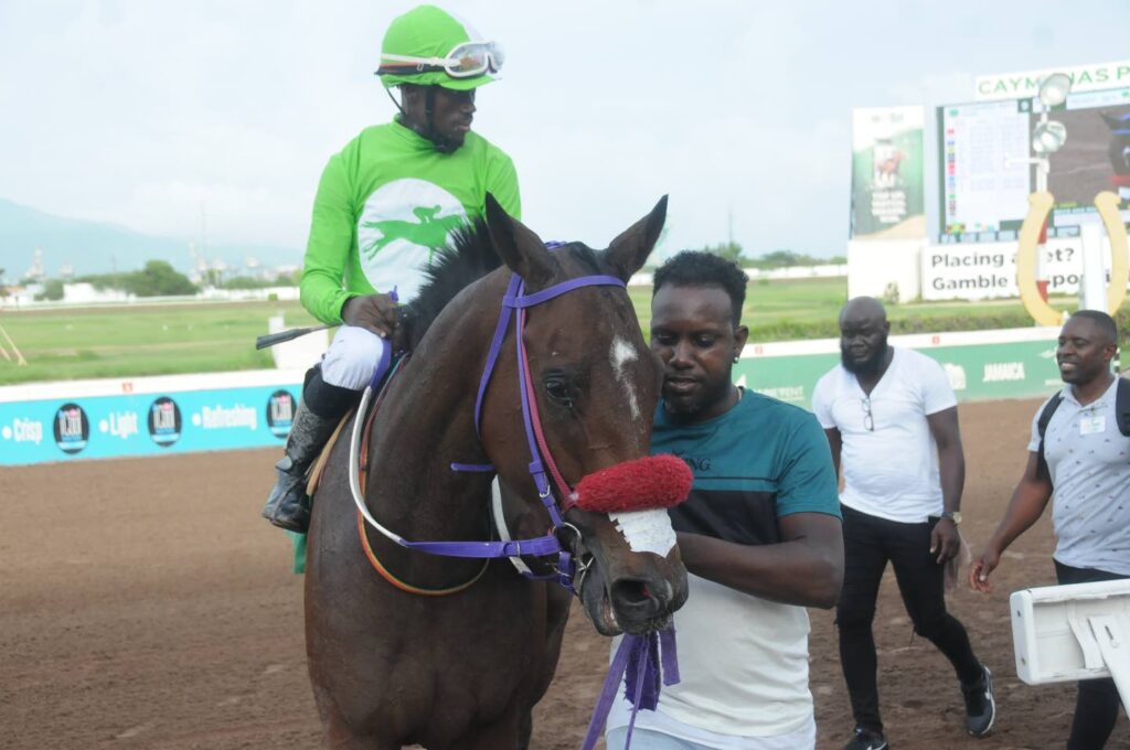 Roman mulls Jamaica Derby bid after Mack and Rome’s impressive win ...