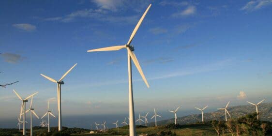 Wigton, SunTerra Energy make next stage of 100 MW bid - Jamaica Observer