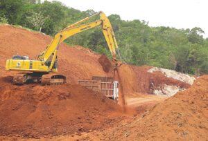 A silent environmental and public health crisis - Jamaica Observer