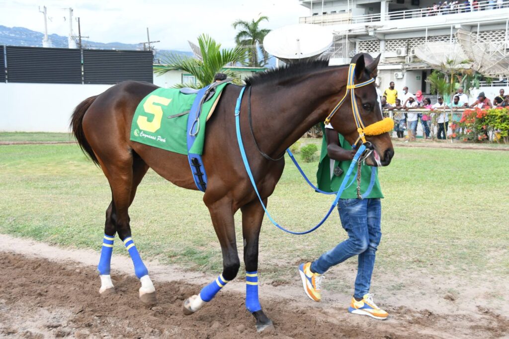 All eyes on Stomp The Rhythm today - Jamaica Observer