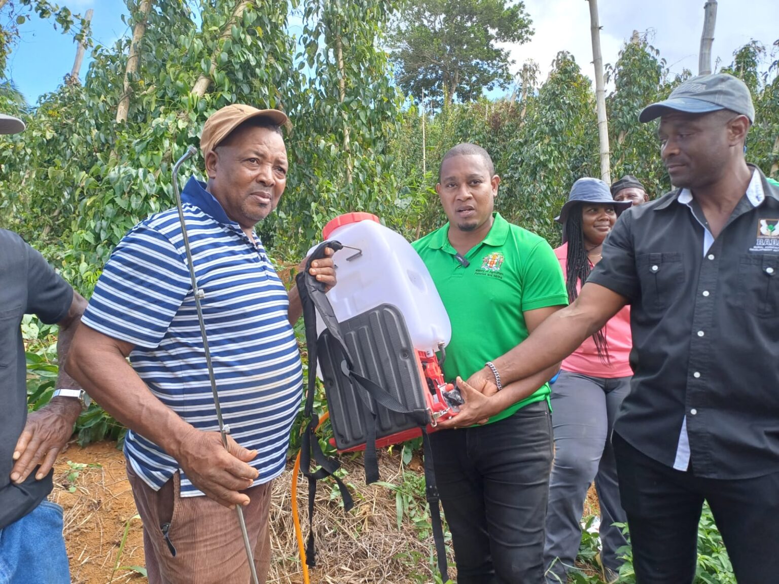 Green distributes chemicals to combat yam rust disease in southern ...