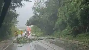 13 people seek shelter in Manchester amid Hurricane Beryl - Jamaica ...