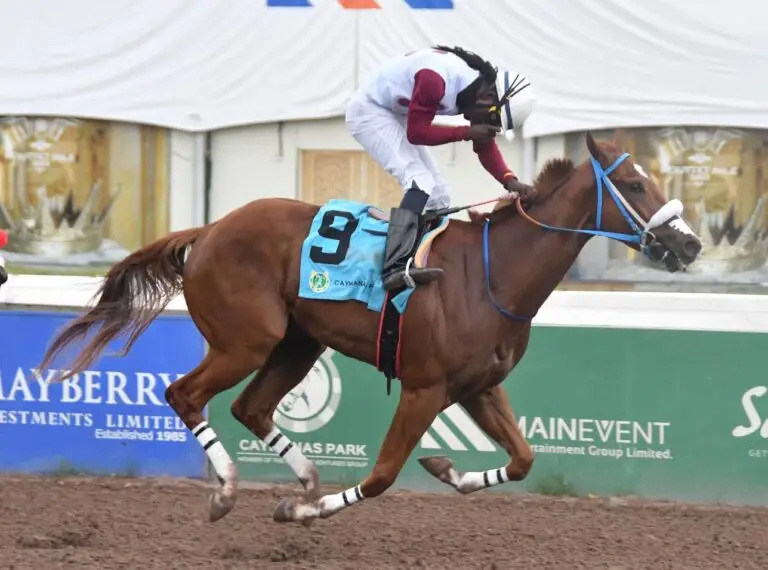 11 horses nominated for Jamaica St Leger Classic - Jamaica Observer