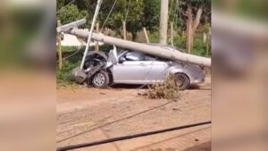 Motorist escapes serious injury after collision with fallen utility ...