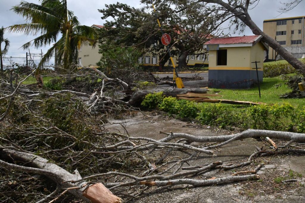 Munro College pounded - Jamaica Observer