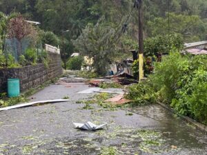 Hurricane damage in Grenada - Jamaica Observer