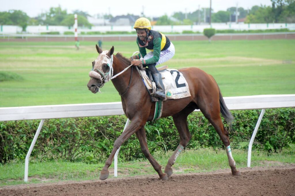 Come-from-behind victory for Allegiance in final prep for Jamaica Derby ...