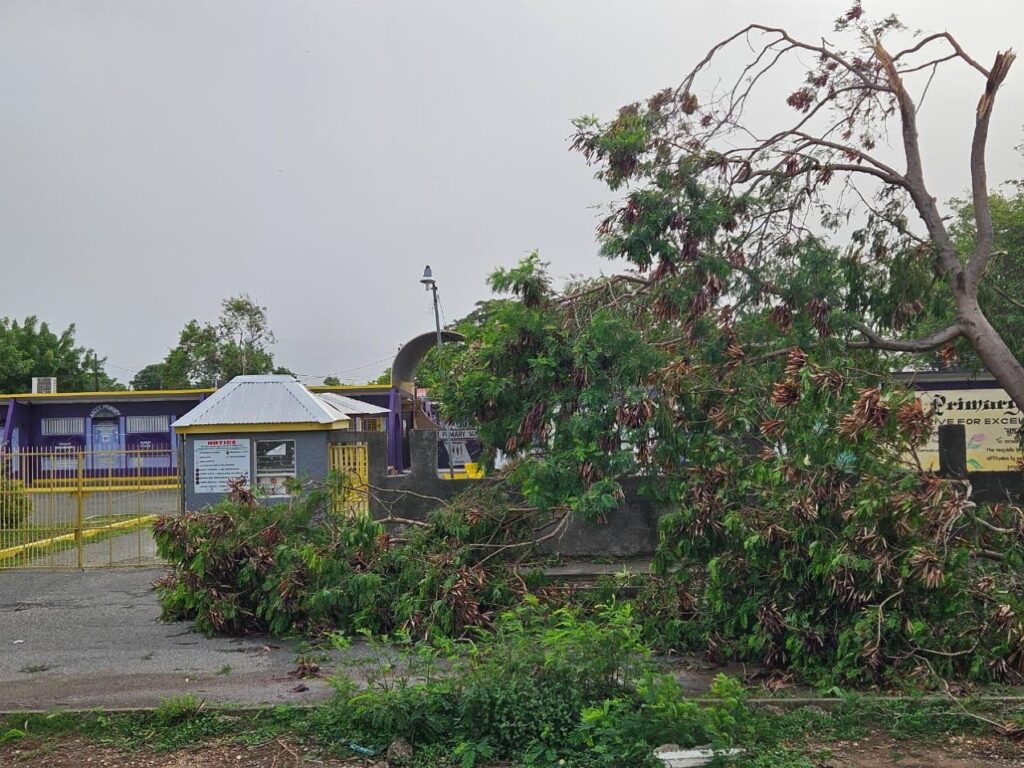 Government offices reopen today - Jamaica Observer