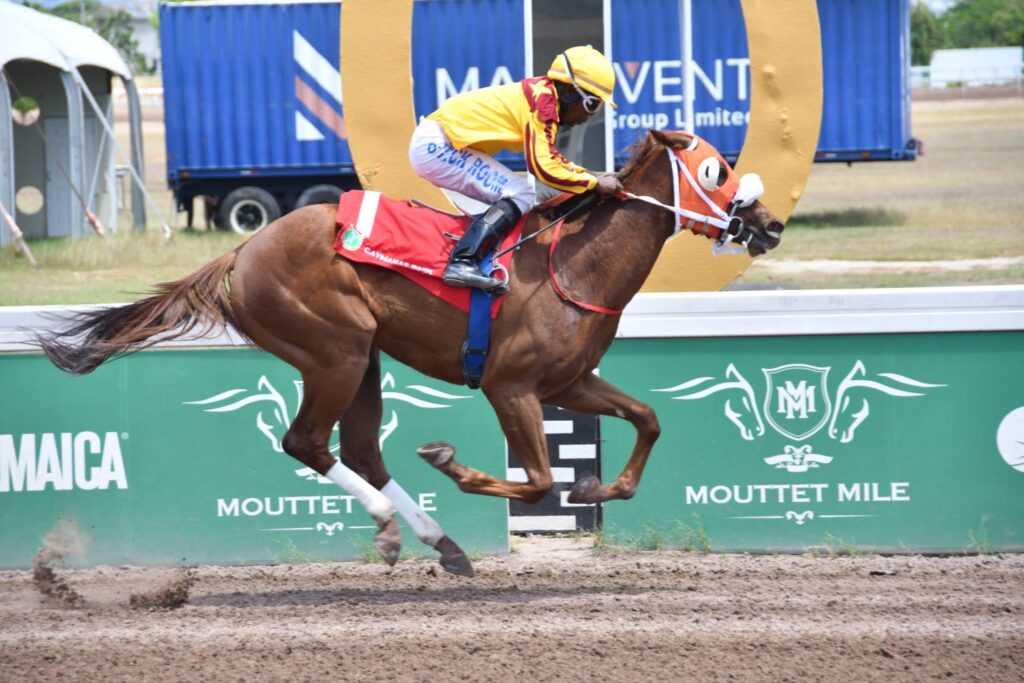 Caymanas Park celebrates 65 years of racing with trophy race - Jamaica ...