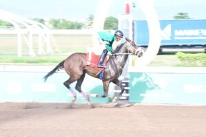 Antarctica stuns with dominant victory in Caymanas Park 65th ...