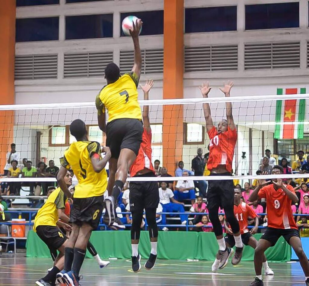 JAVA looking for a spike in local volleyball support - Jamaica Observer