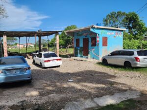 One-year-old boy survives Cherry Tree Lane massacre - Jamaica Observer