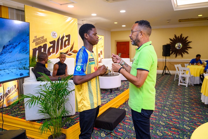 Stakeholders impressed by Malta/PFJL workshop - Jamaica Observer