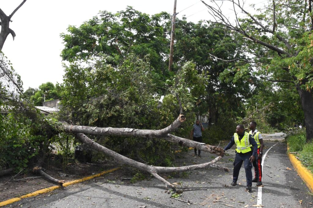 Paulwell wants disaster committee to deal with emergencies - Jamaica ...