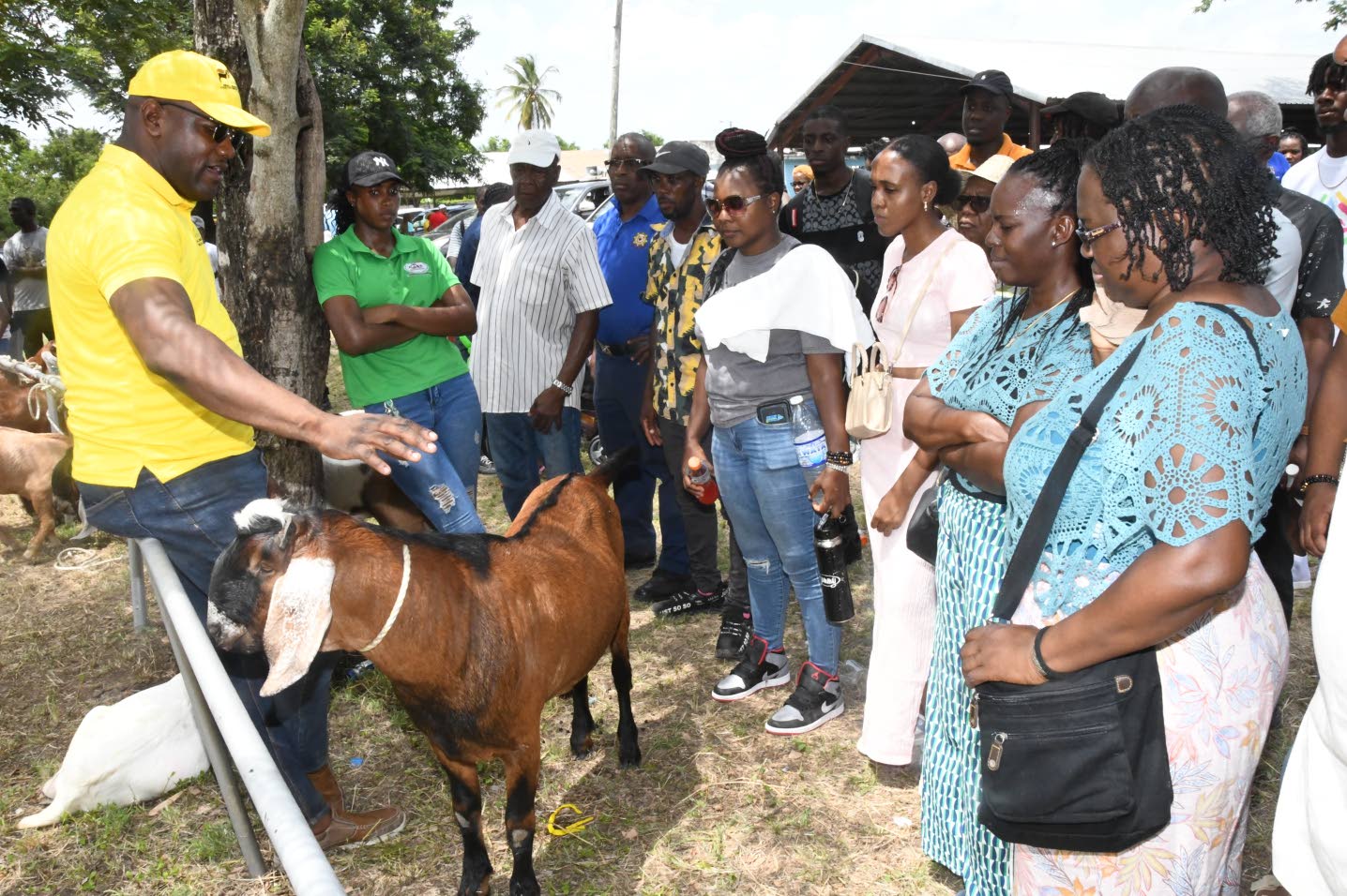 $1.4-billion boost announced for farmers at Denbigh - Jamaica Observer