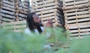 Gyptian hits USA Reggae chart with 'Guarded' EP - Jamaica Observer