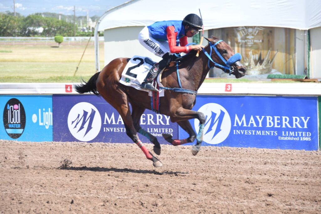 Comehometome hard to oppose in Jamaica Oaks Classic race - Jamaica Observer