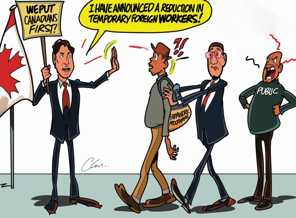 Cartoons - Jamaica Observer