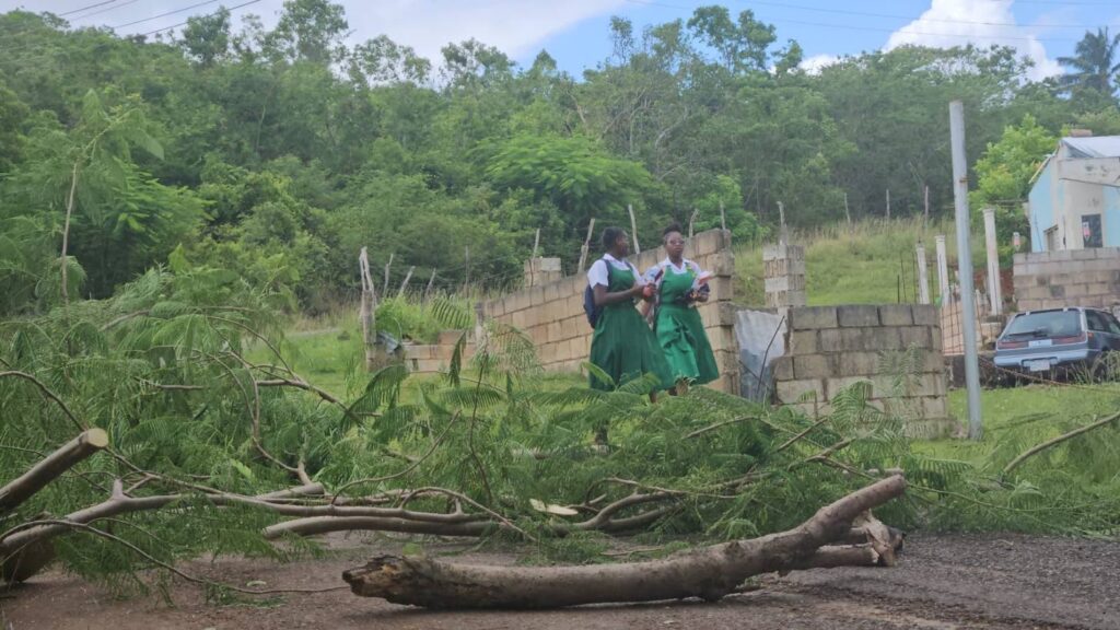 ‘Pothole a kill wi’ - Jamaica Observer