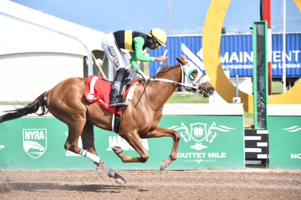 Captain Sparrow the clear favourite in Winston ‘Fanna’ Griffiths OD ...