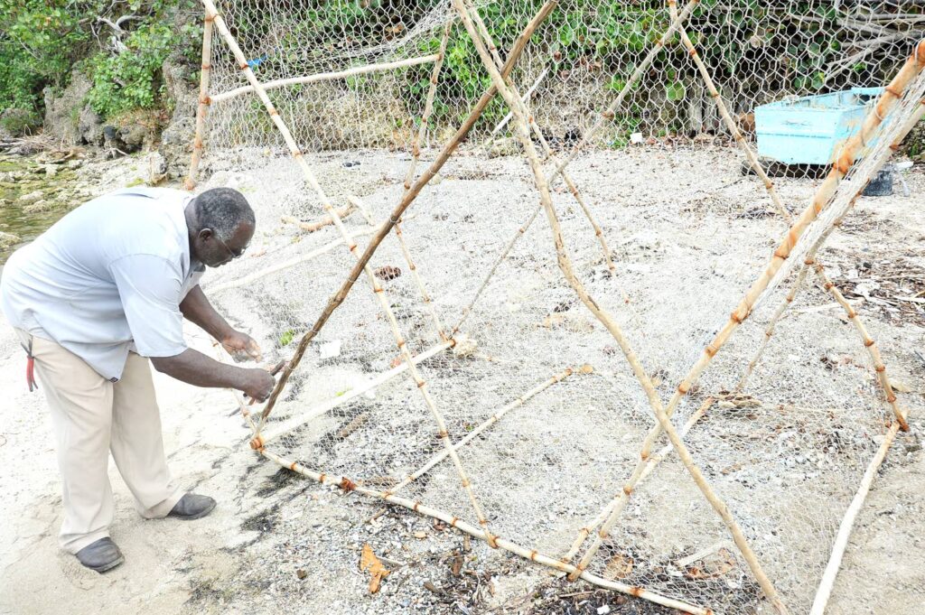 Lost fish pots - Jamaica Observer
