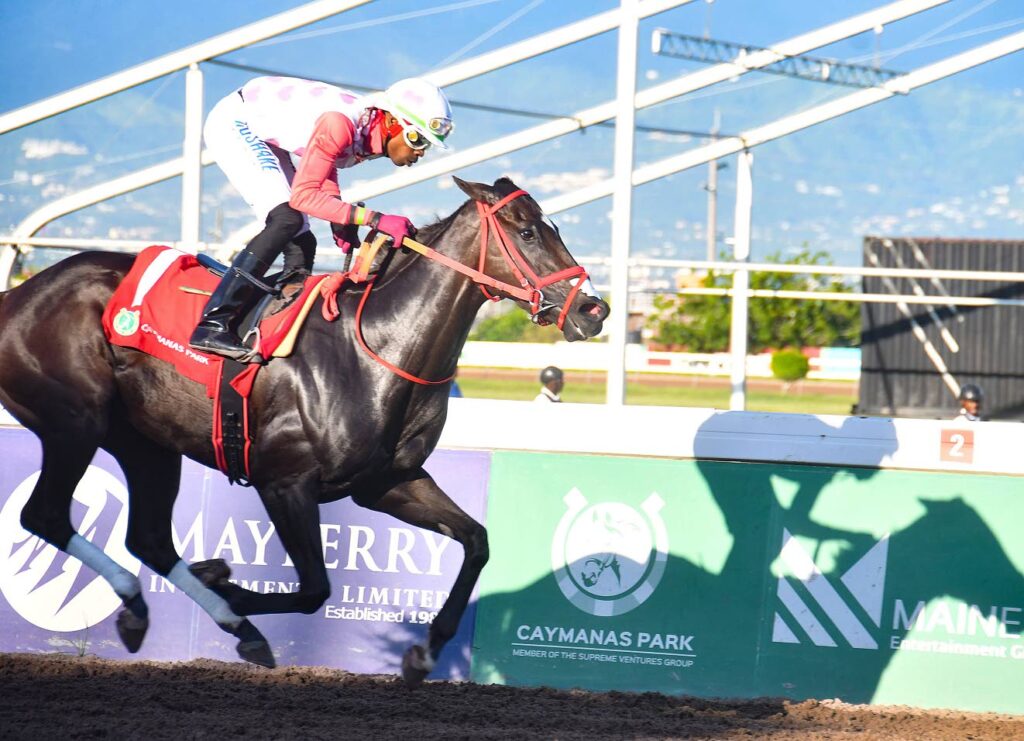 Comehometome dominates Winston ‘Fanna’ Griffiths OD Classic - Jamaica ...
