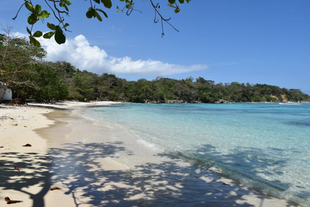 Free Winnifred Beach Benevolent Society stands ready to dialogue ...
