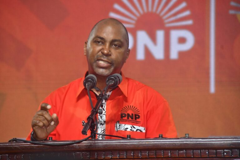 Literacy and numeracy major targets when PNP returns to Gov’t, says ...