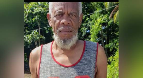 Elderly man found dead in suspected suicide at St Mary home - Jamaica ...