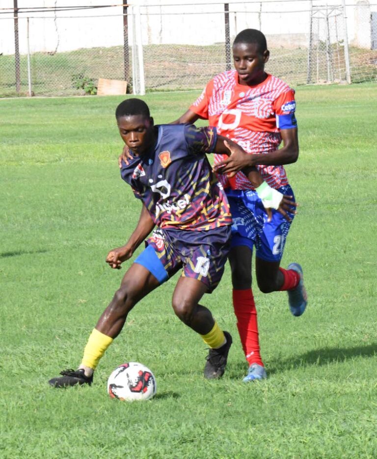 ‘Basket to carry water’ - Jamaica Observer