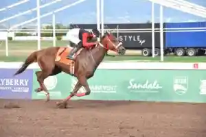 Electrifying performance: Money Miser wins Division One of O and S Tack ...