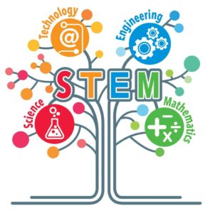 Much potential for the development of sports at Sydney Pagon STEM ...