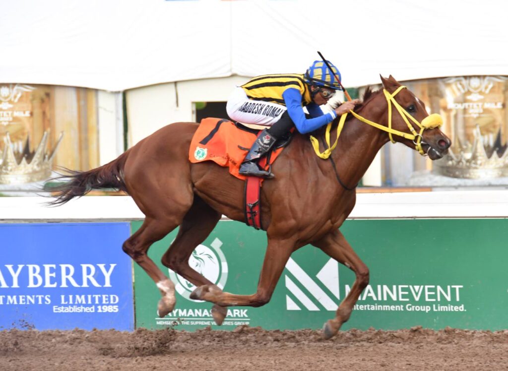 Sensational Move poised to dominate Overnight Allowance contest ...